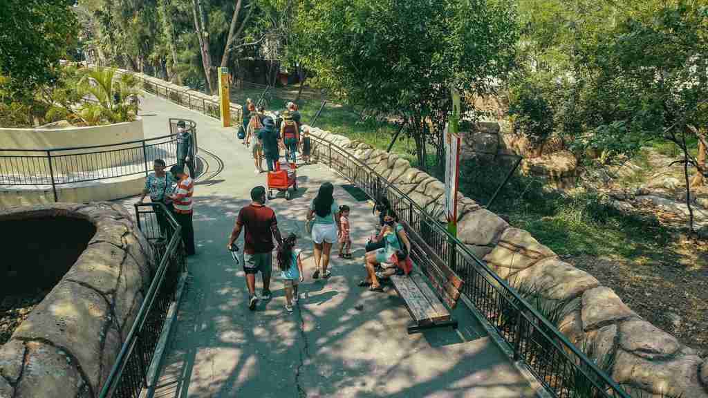 En el olvido Tamatán y la Peñita